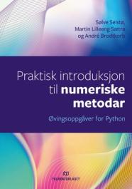 Pendel - en del av BS Undervisning Praktisk introduksjon til numeriske metodar : Øvingsoppgåve