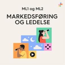 Lære LearnLab : Videregående Skole